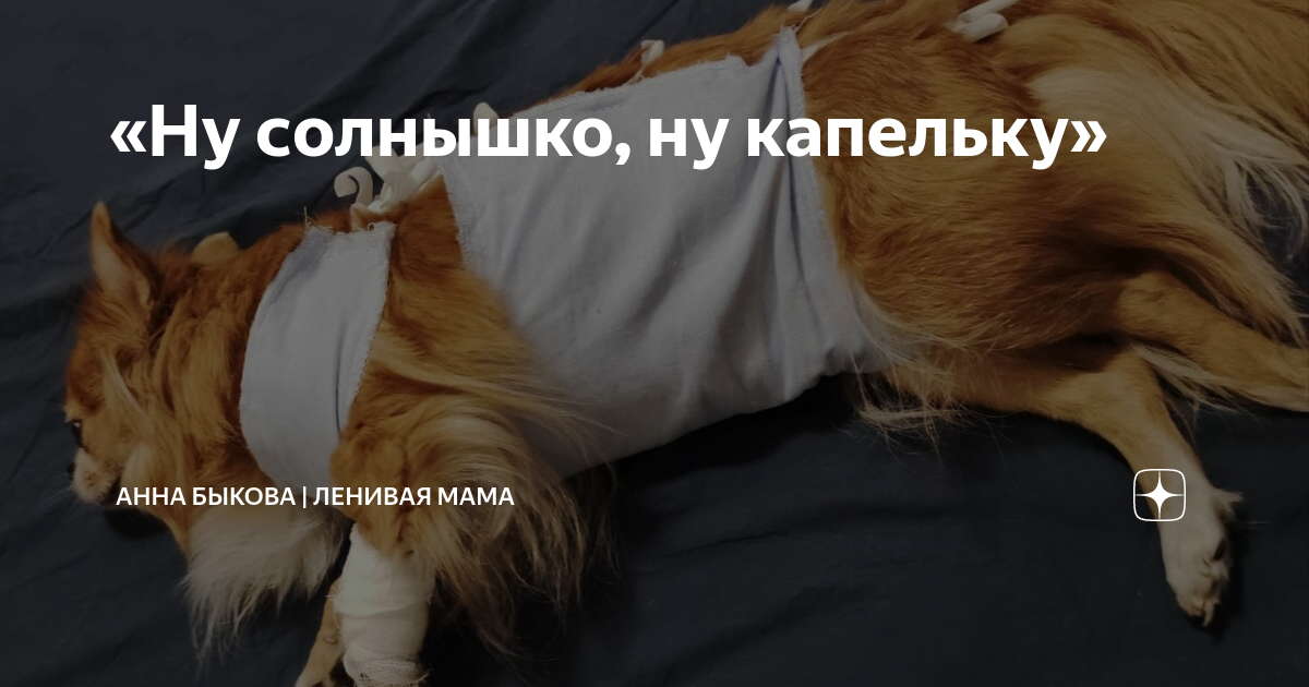 «Ну солнышко, ну капельку» | Анна Быкова | Ленивая мама | Дзен