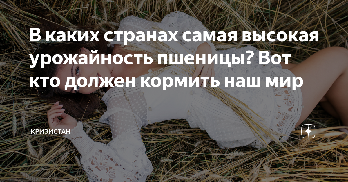 В каких странах самая высокая урожайность пшеницы Вот кто должен