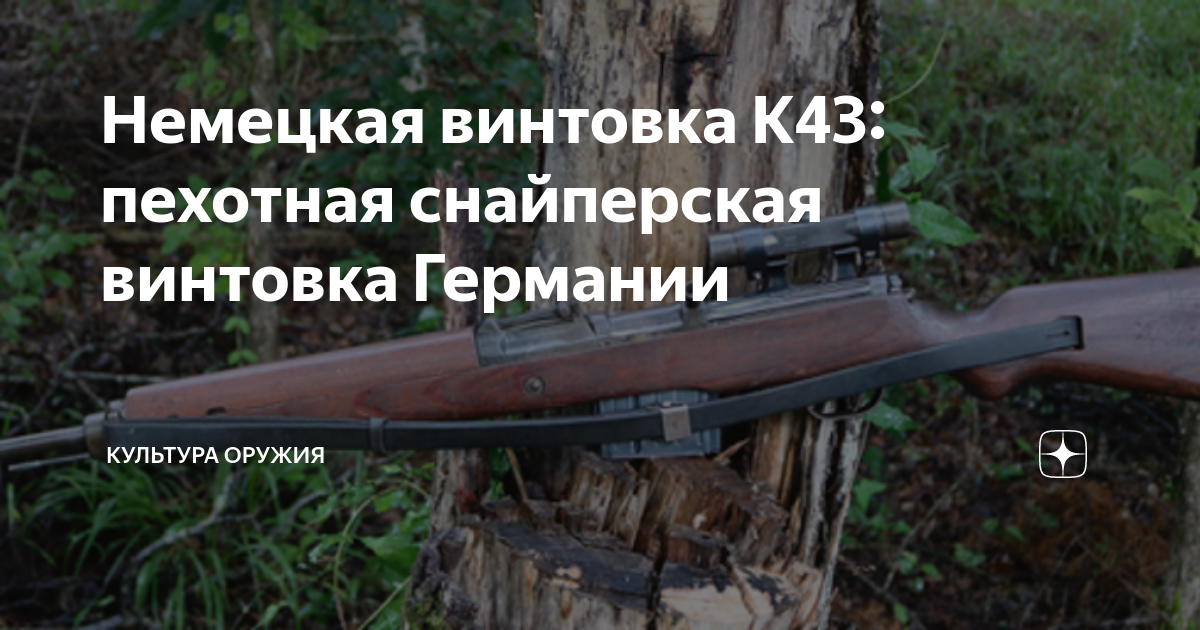 Немецкая винтовка K43: пехотная снайперская винтовка Германии ...