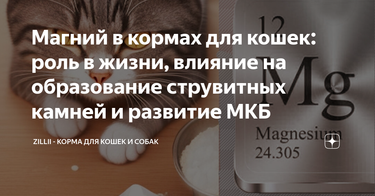 Магний в кормах для кошек: роль в жизни, влияние на образование ...