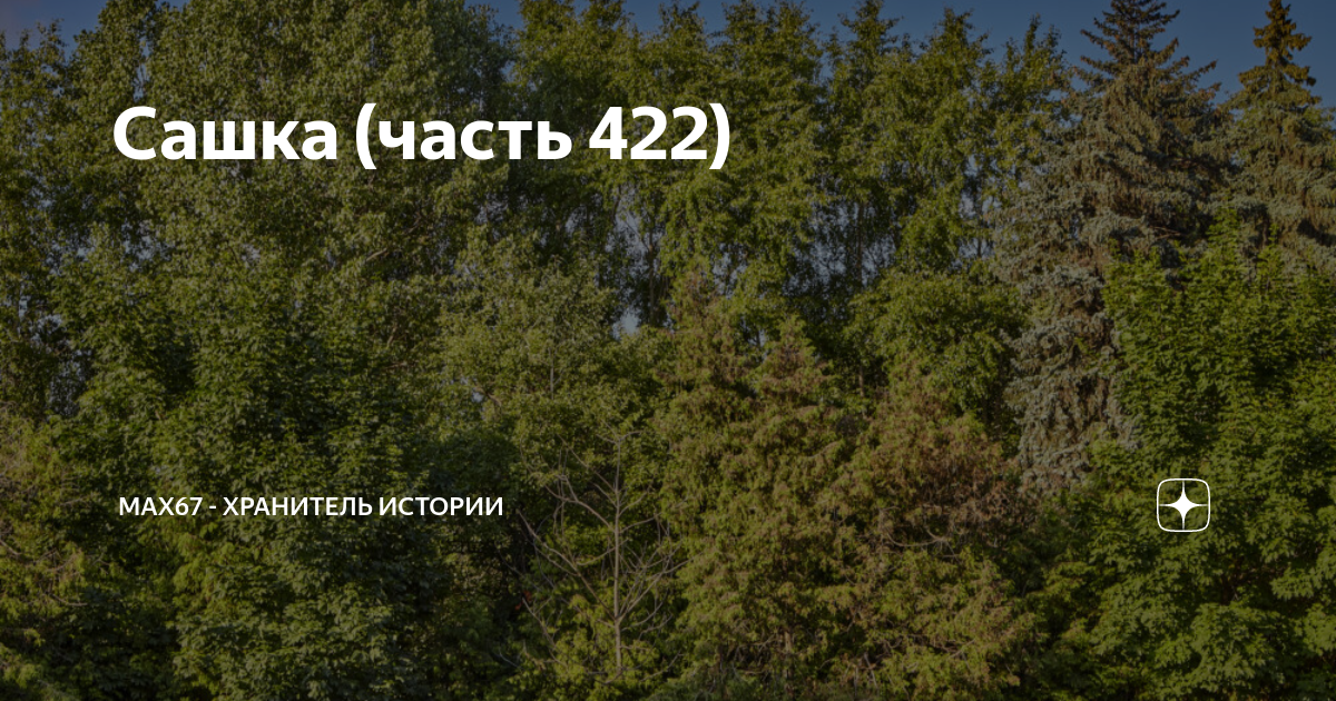 Сашка (часть 422) | MAX67 - Хранитель Истории | Дзен