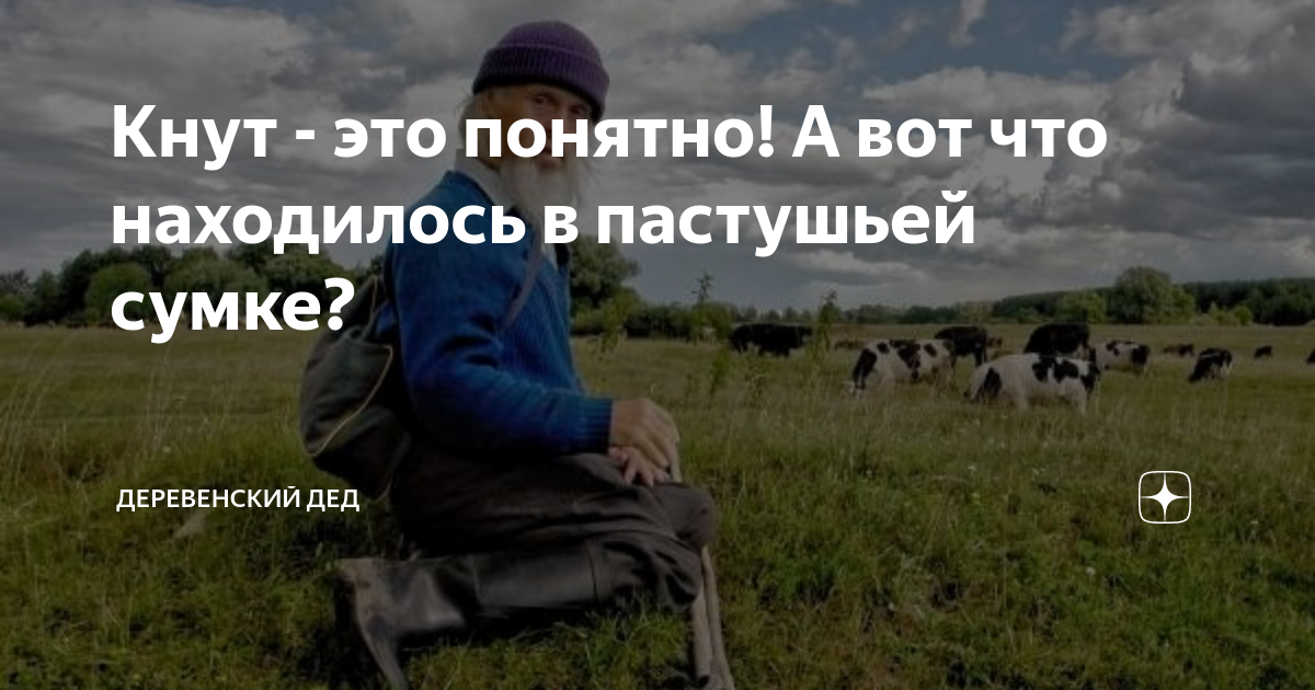 Кнут - это понятно! А вот что находилось в пастушьей сумке ...