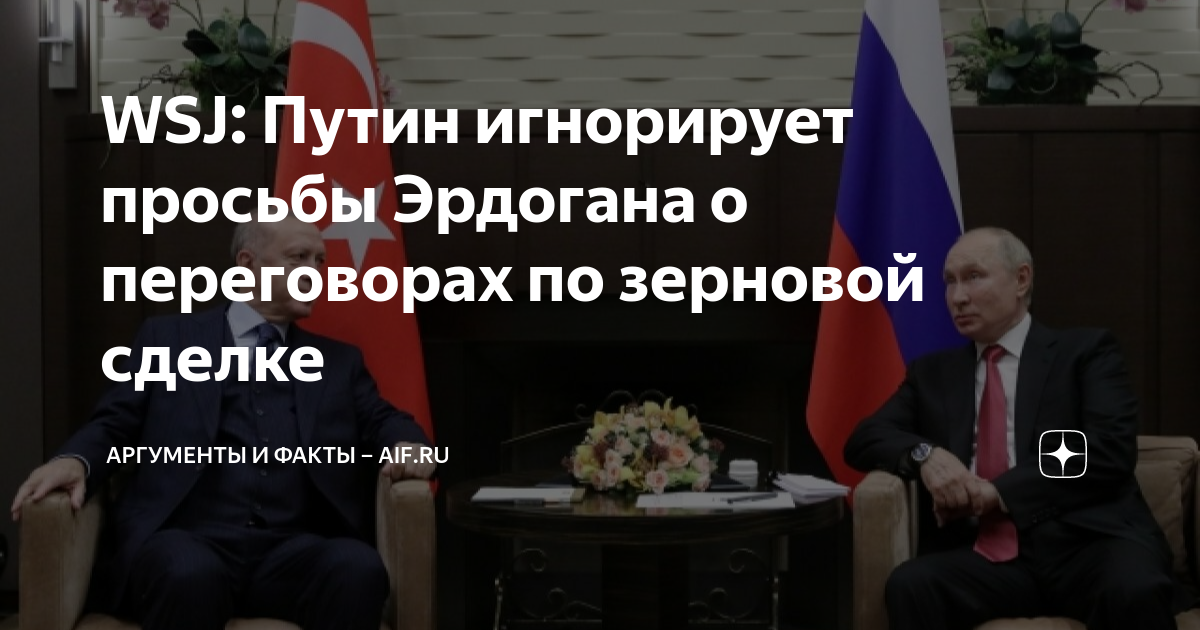 WSJ: Путин игнорирует просьбы Эрдогана о переговорах по зерновой сделке | Аргументы и факты ...