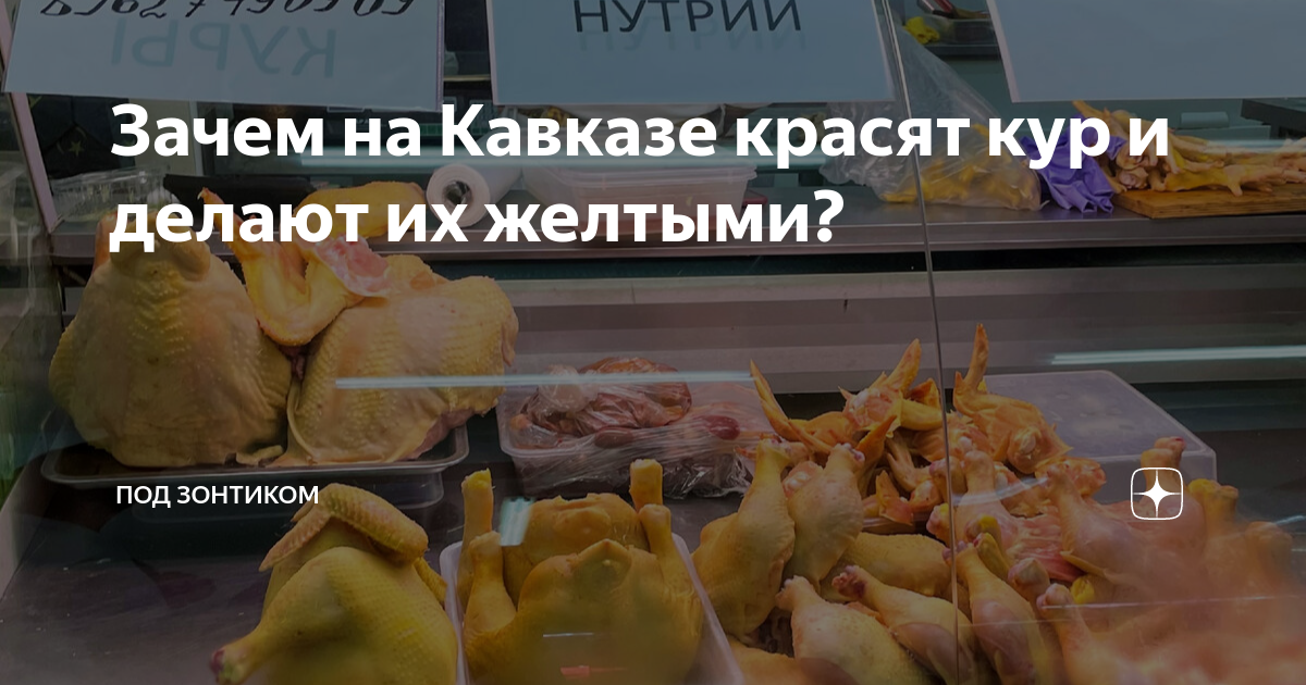 Зачем на Кавказе красят кур и делают их желтыми? | Под зонтиком | Дзен