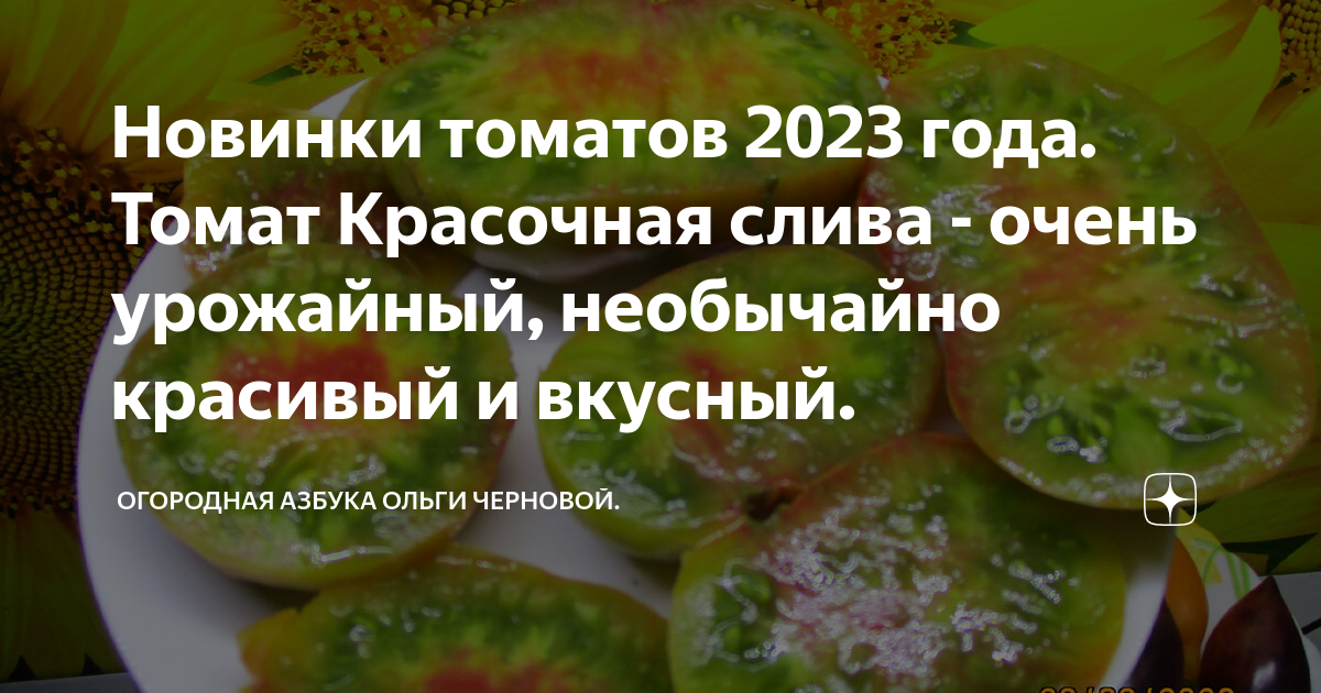 Новинки томатов 2023 года. Томат Красочная слива - очень урожайный ...