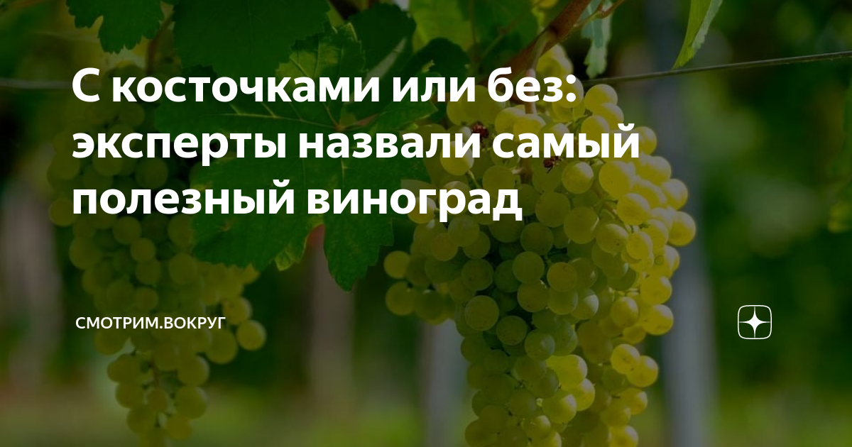 С косточками или без: эксперты назвали самый полезный виноград ...