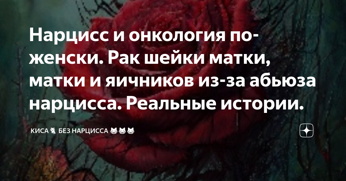 Нарцисс и онкология по-женски. Рак шейки матки, матки и яичников из-за ...