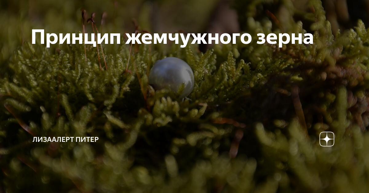 Принцип жемчужного зерна ЛизаАлерт Питер Дзен