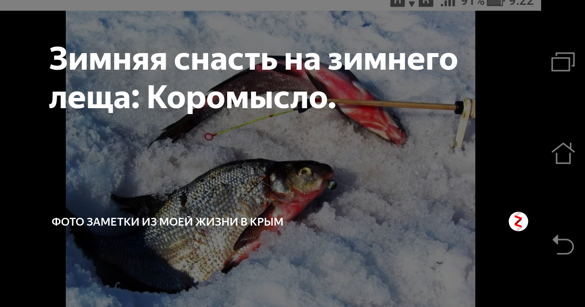 Зимняя снасть на зимнего леща: Коромысло. | Фото заметки из моей жизни ...