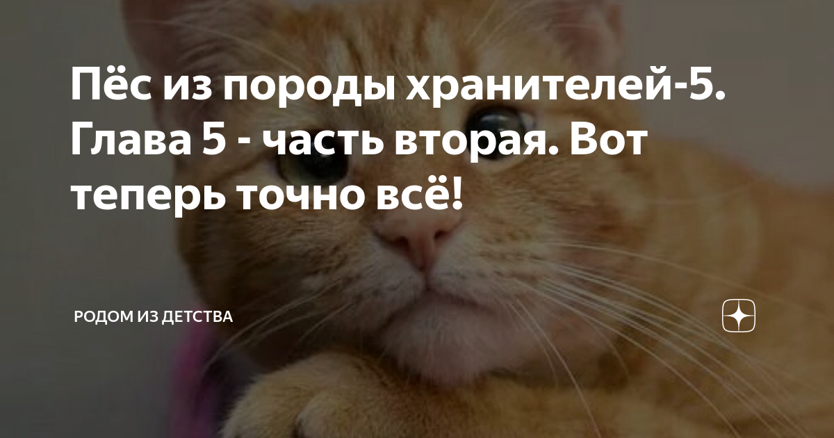 Пёс из породы хранителей-5. Глава 5 - часть вторая. Вот теперь точно ...