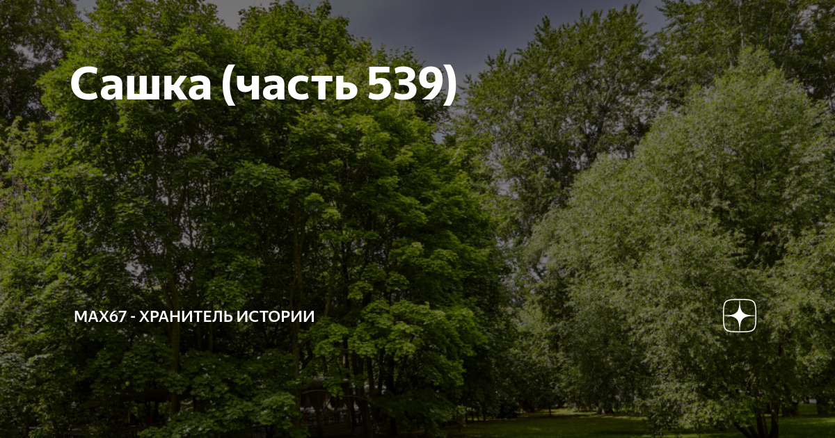 Сашка (часть 539) | MAX67 - Хранитель Истории | Дзен