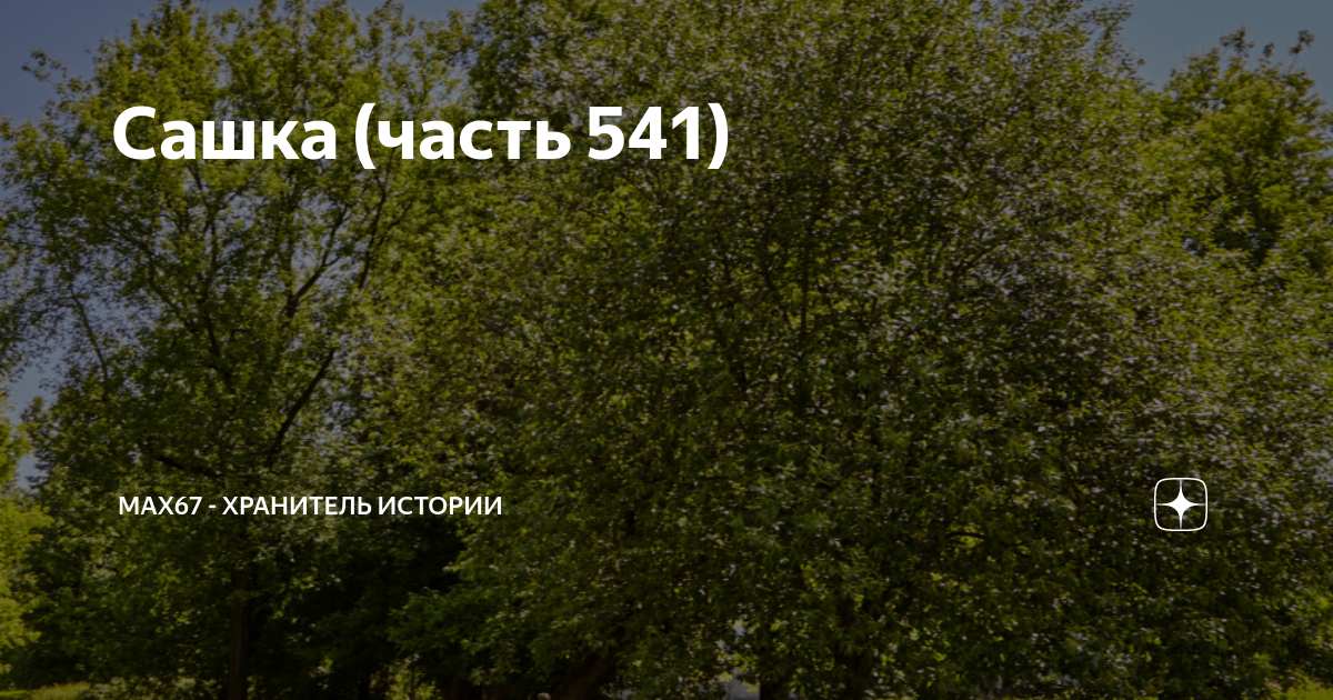 Сашка (часть 541) | MAX67 - Хранитель Истории | Дзен