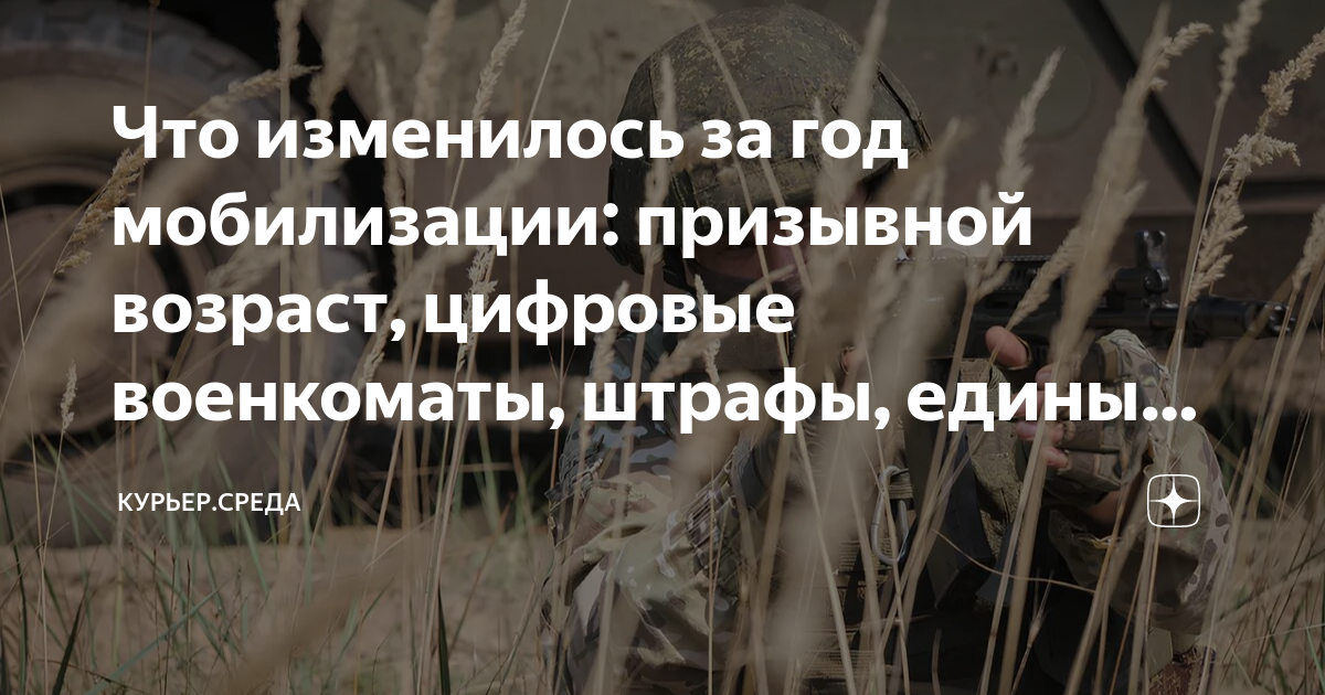 Что изменилось за год мобилизации: призывной возраст, цифровые ...