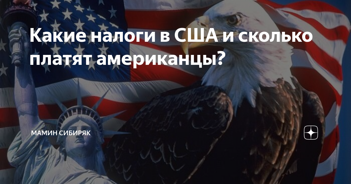 Какие налоги в США и сколько платят американцы Мамин Сибиряк Дзен