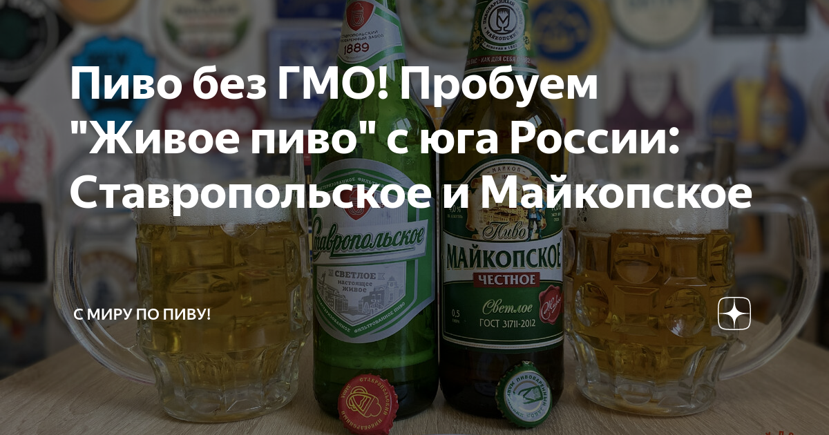Пиво без ГМО! Пробуем "Живое пиво" с юга России: Ставропольское и ...