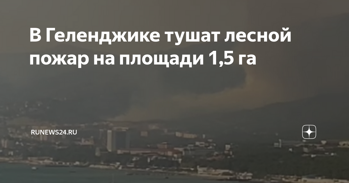 В Геленджике тушат лесной пожар на площади 1,5 га | RuNews24.ru | Дзен