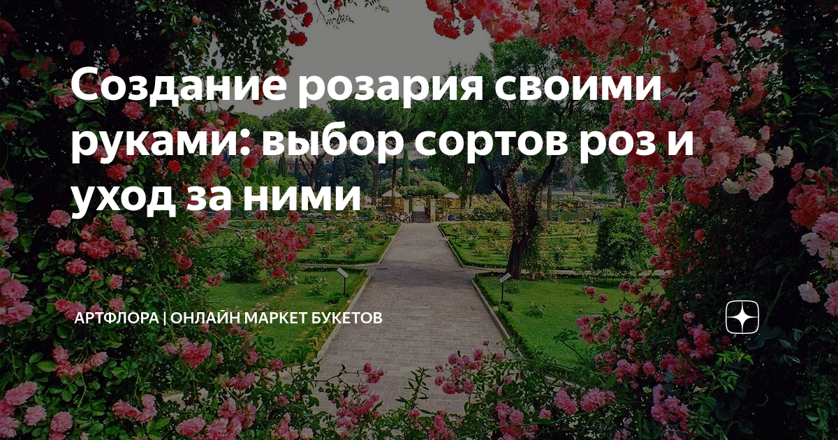 Создание розария своими руками выбор сортов роз и уход за ними