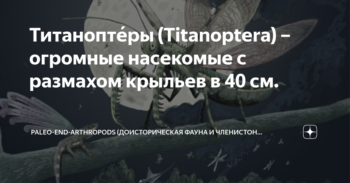 Титанопте́ры (Titanoptera) – огромные насекомые с размахом крыльев в 40 ...