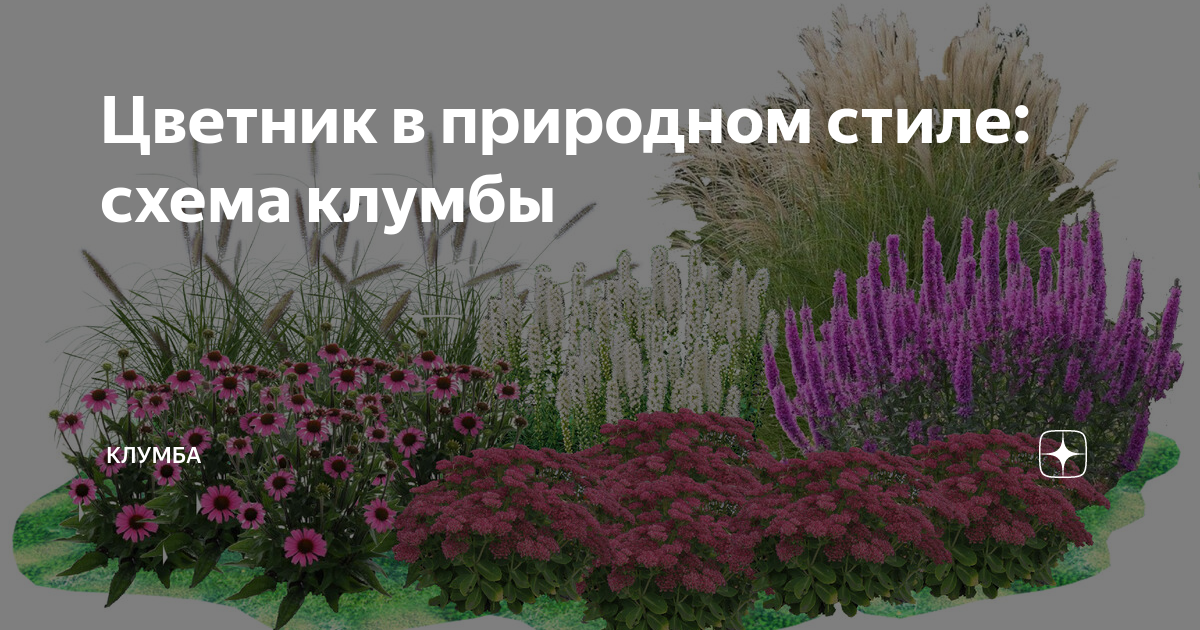 Цветник в природном стиле схема клумбы КЛУМБА Дзен
