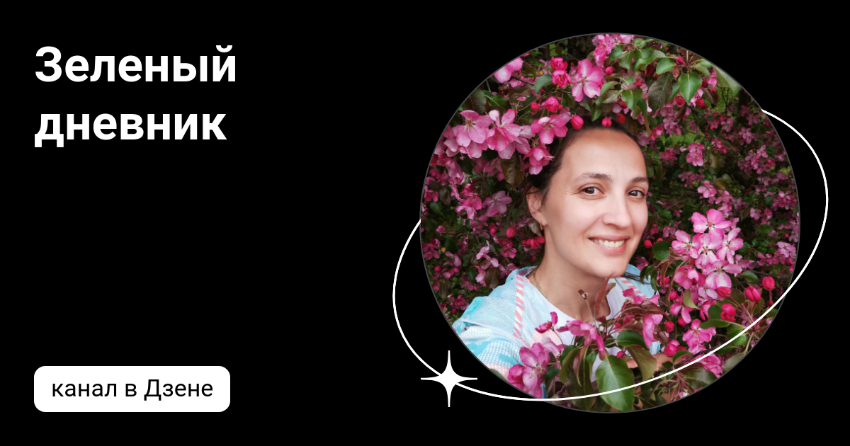 Зеленый дневник | Дзен