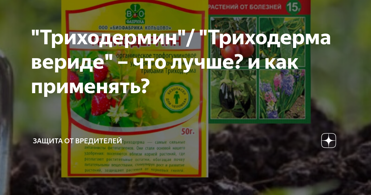 "Триходермин"/ "Триходерма вериде" – что лучше? и как применять ...