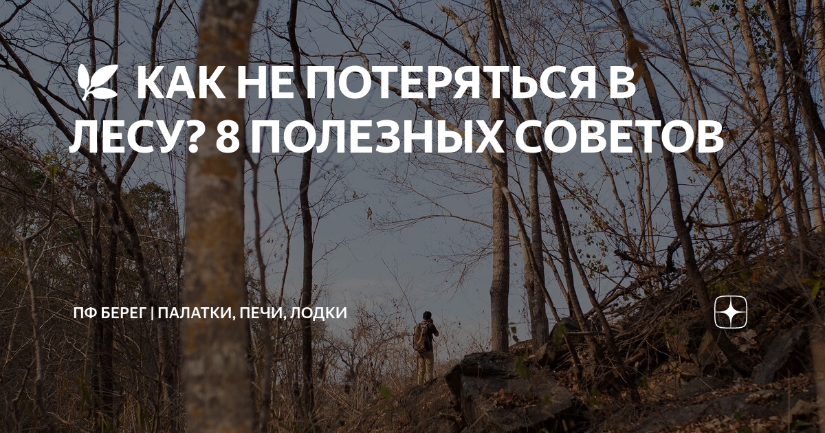 🌿 КАК НЕ ПОТЕРЯТЬСЯ В ЛЕСУ? 8 ПОЛЕЗНЫХ СОВЕТОВ | ПФ Берег | Палатки ...
