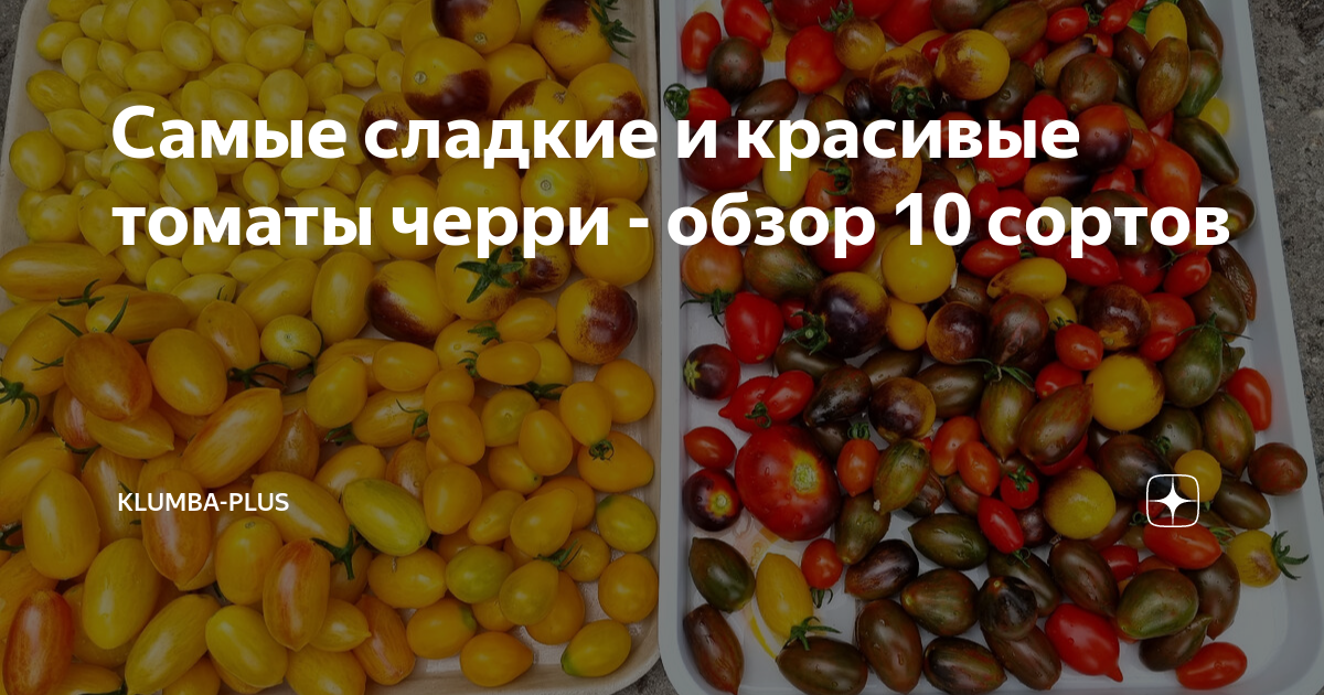 Самые сладкие и красивые томаты черри - обзор 10 сортов | Klumba-plus ...