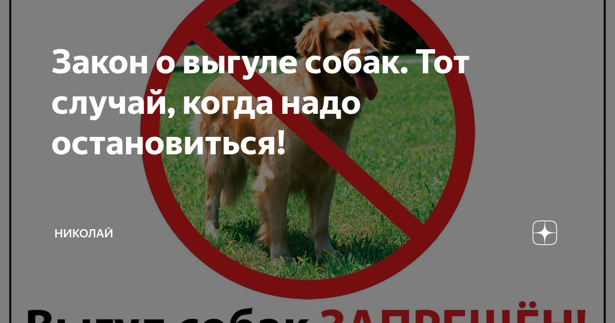 Закон о выгуле собак. Тот случай, когда надо остановиться! | Николай | Дзен
