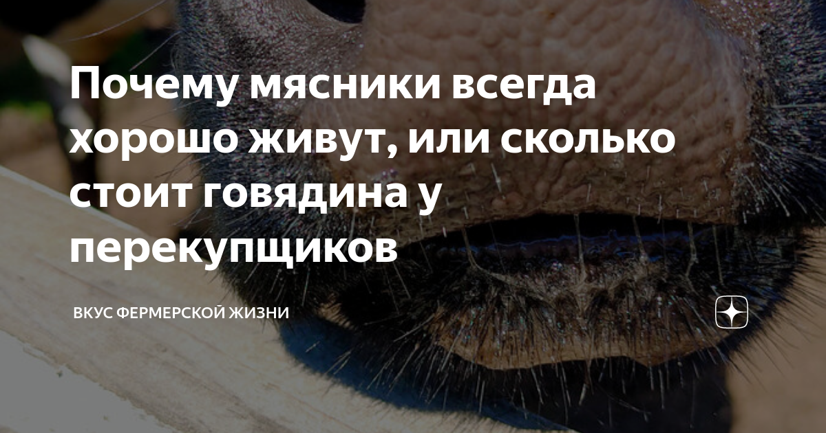 Почему мясники всегда хорошо живут, или сколько стоит говядина у ...