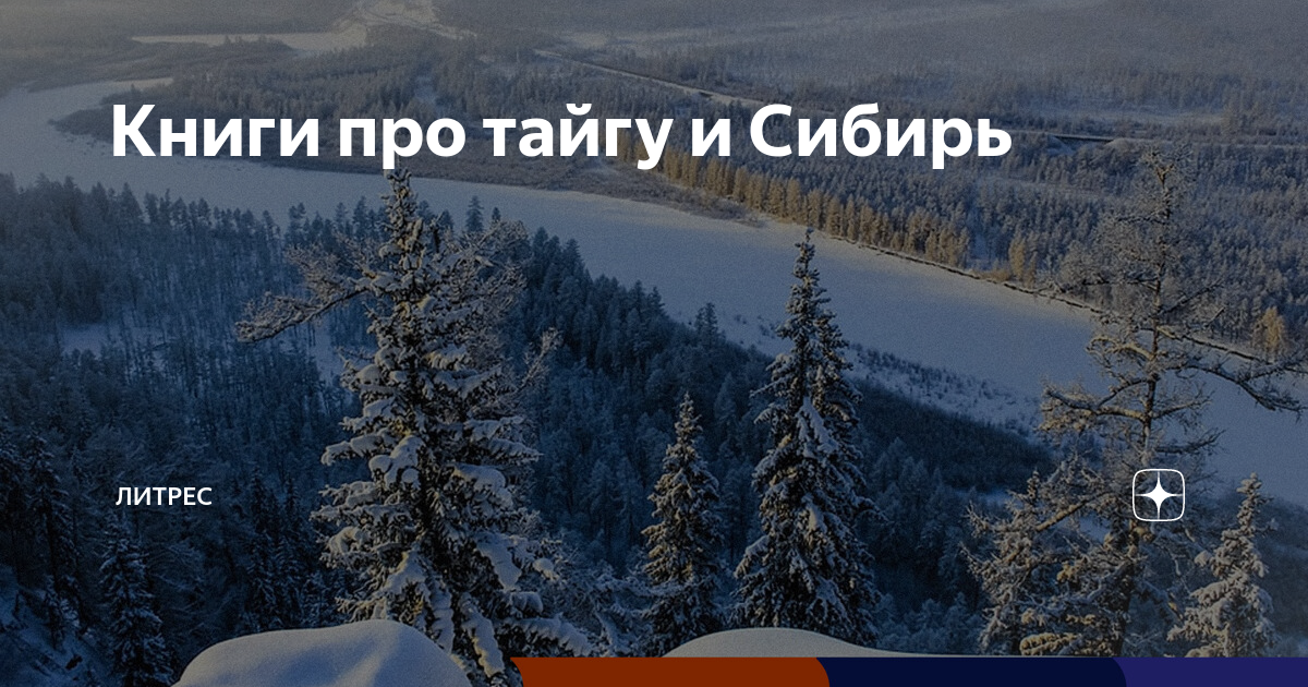 Книги про тайгу и Сибирь | Литрес | Дзен