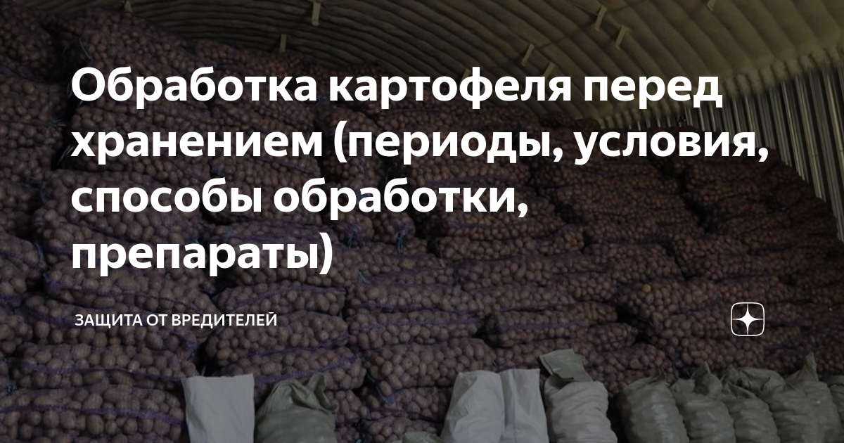 Обработка картофеля перед хранением (периоды, условия, способы ...