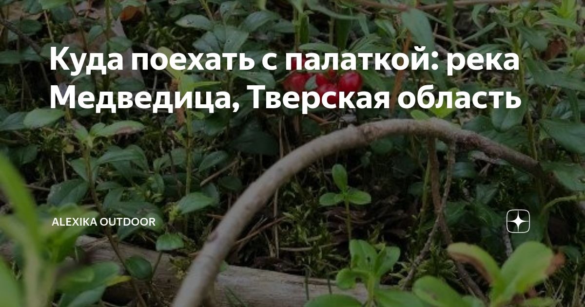 Куда поехать с палаткой река Медведица Тверская область Alexika