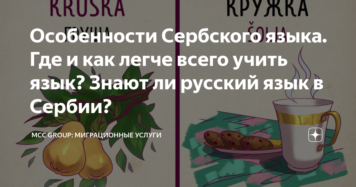 Особенности Сербского языка. Где и как легче всего учить язык? Знают ли ...