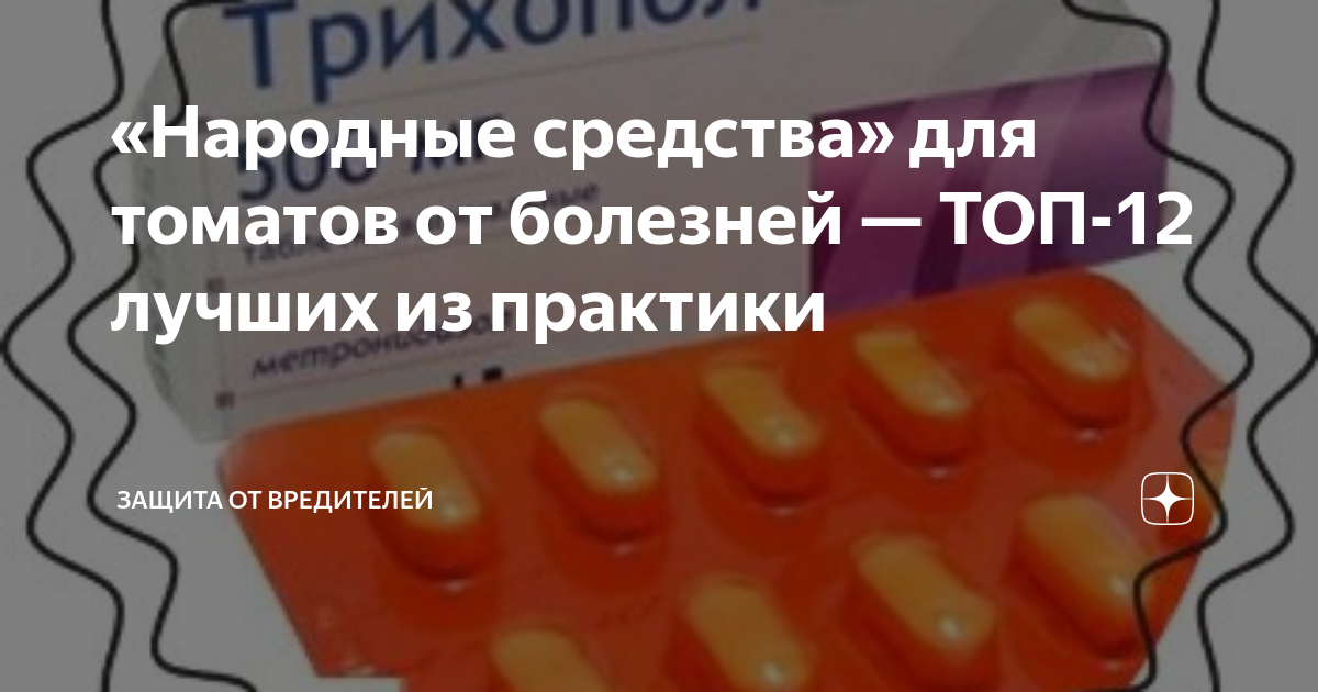 «Народные средства» для томатов от болезней — ТОП-12 лучших из практики ...