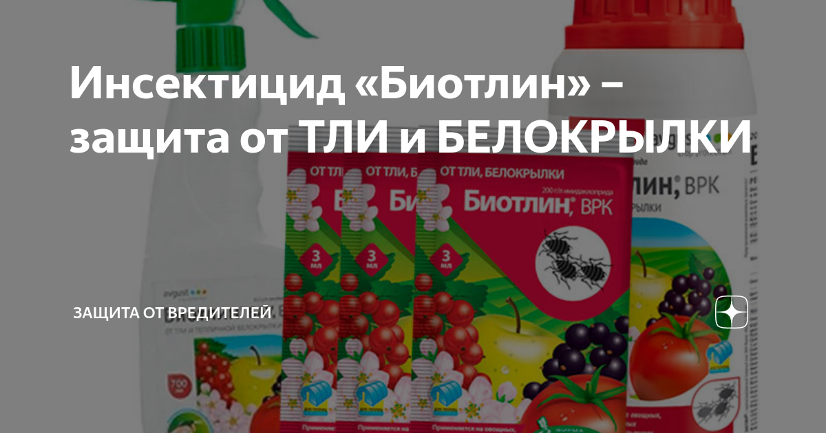 Инсектицид «Биотлин» – защита от ТЛИ и БЕЛОКРЫЛКИ | ЗАЩИТА от ...