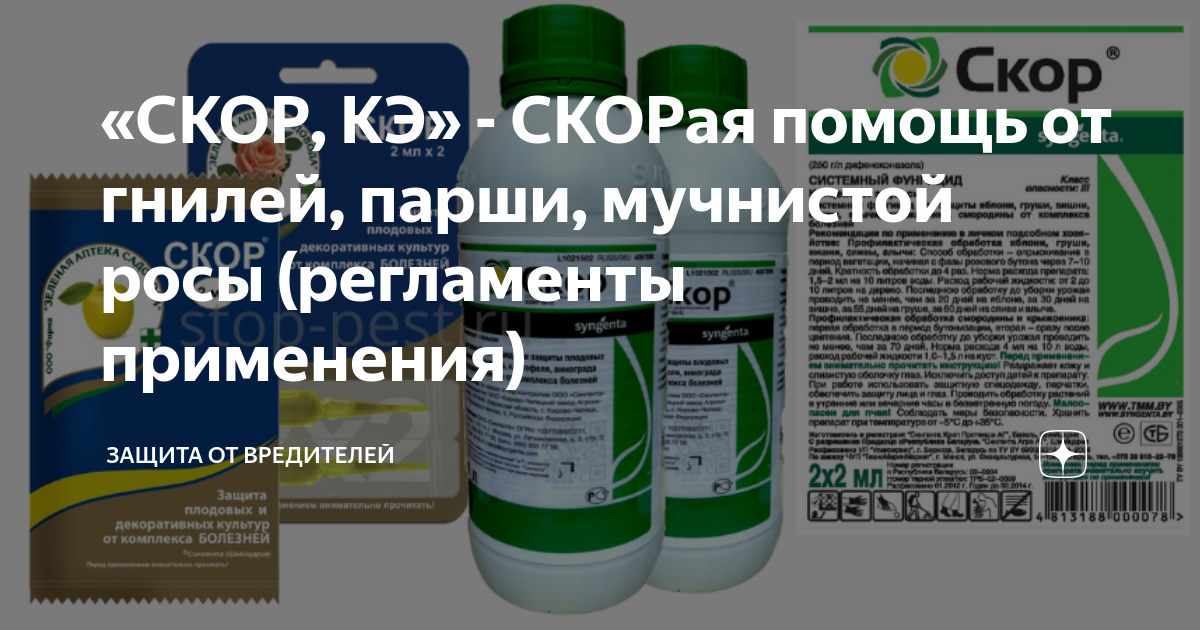 «СКОР, КЭ» - СКОРая помощь от гнилей, парши, мучнистой росы (регламенты ...