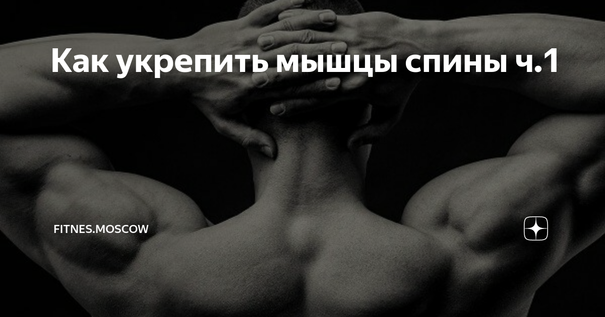 Как укрепить мышцы спины ч 1 Fitnes Moscow Дзен