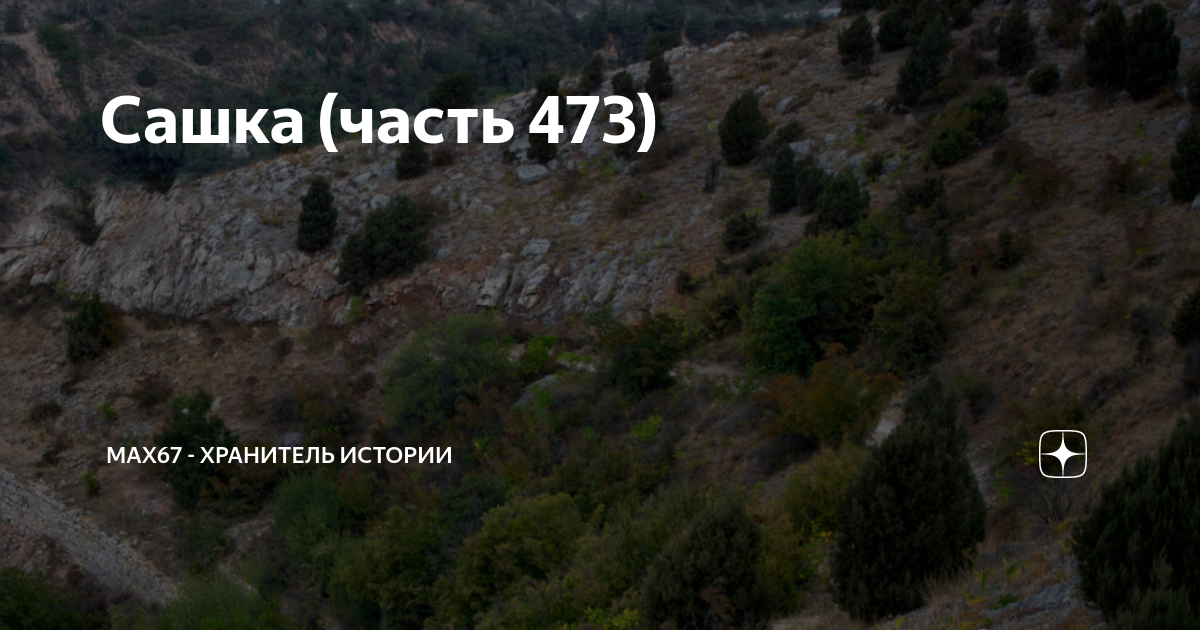 Сашка (часть 473) | MAX67 - Хранитель Истории | Дзен