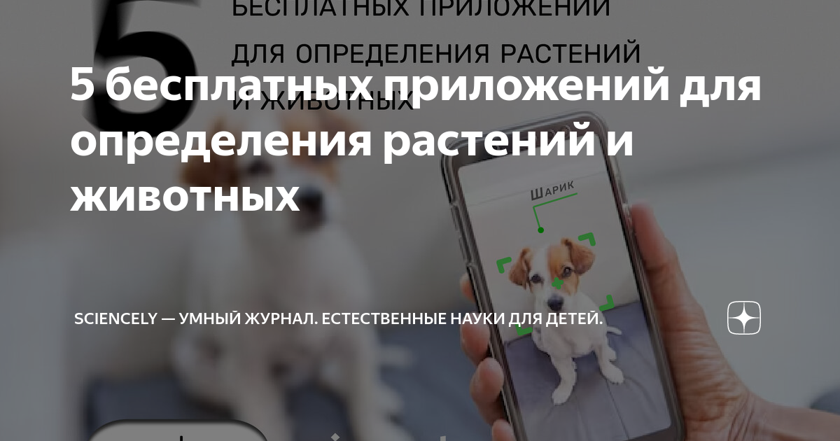 5 бесплатных приложений для определения растений и животных | Sciencely ...