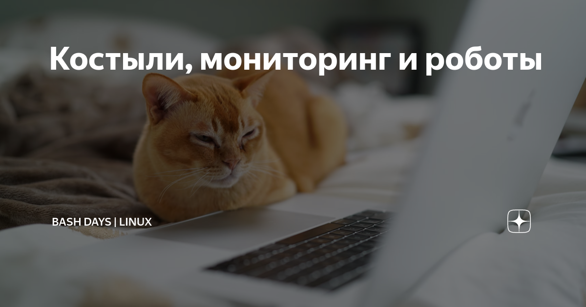 Костыли, мониторинг и роботы | BASH DAYS | Linux Factory | Дзен