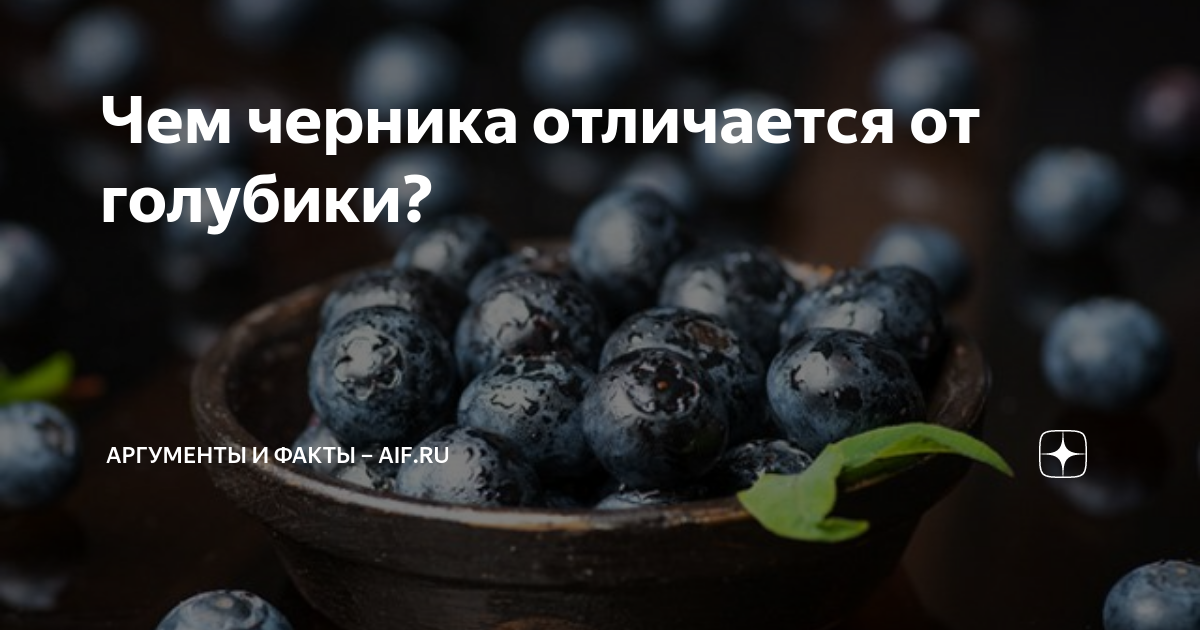 Чем черника отличается от голубики Аргументы и факты Дзен