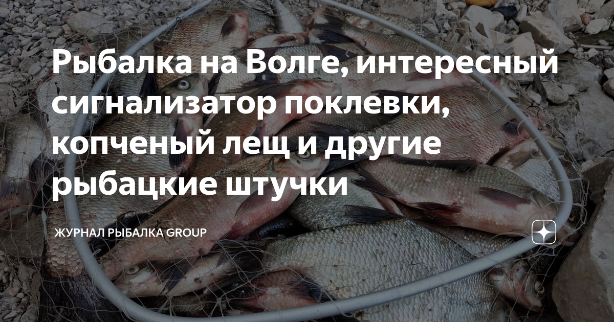 Рыбалка на Волге, интересный сигнализатор поклевки, копченый лещ и ...