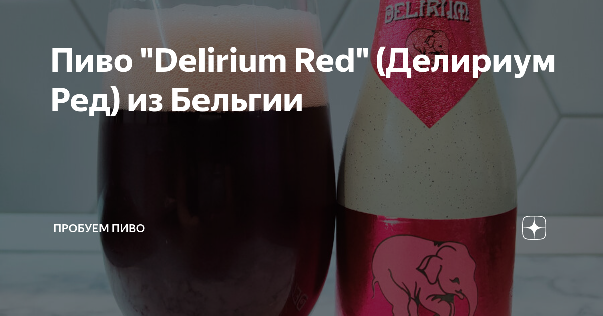 Пиво "Delirium Red" (Делириум Ред) из Бельгии | Пробуем пиво | Дзен