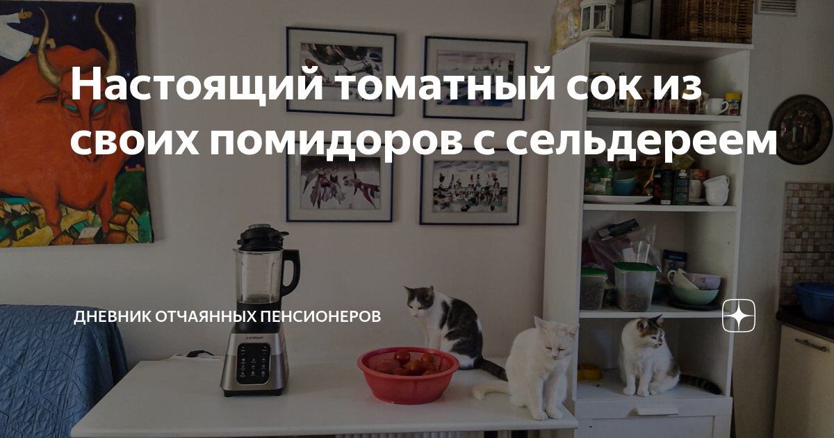 Настоящий томатный сок из своих помидоров с сельдереем | Дневник ...