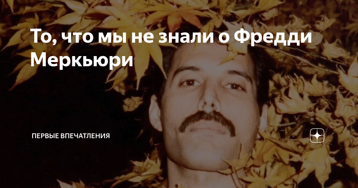 То что мы не знали о Фредди Меркьюри Первые впечатления Дзен