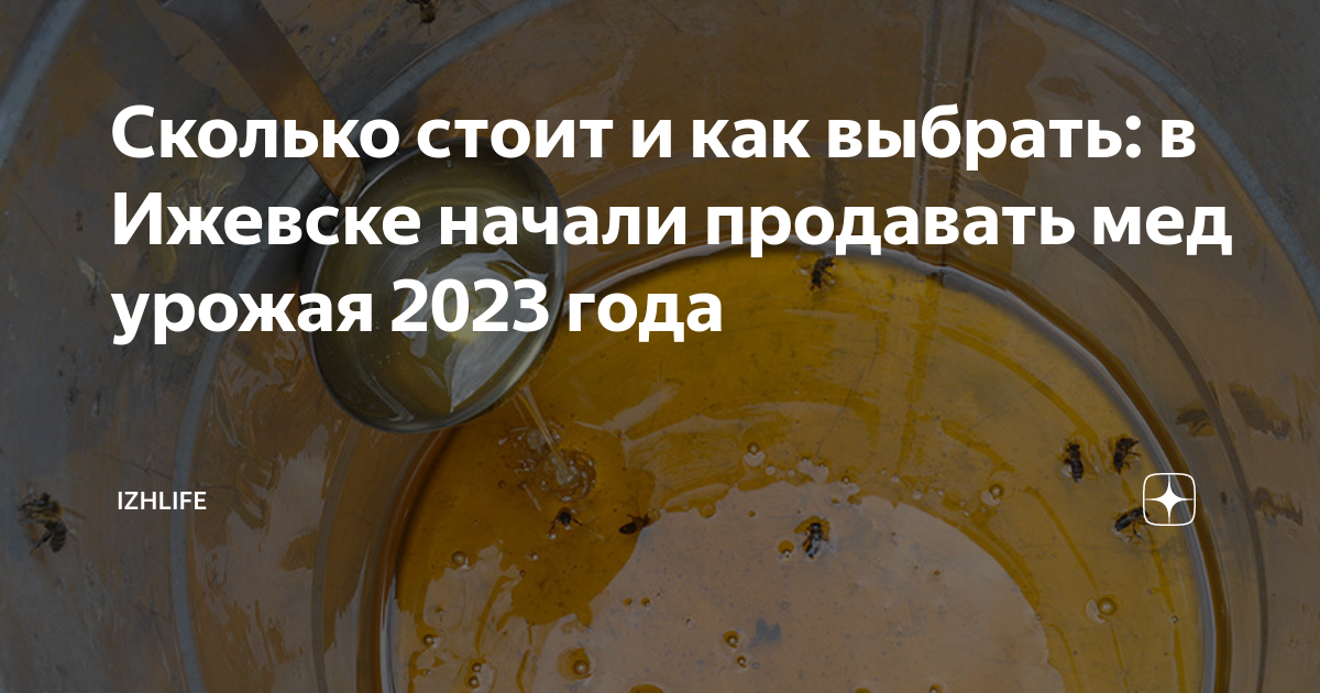 Сколько стоит и как выбрать: в Ижевске начали продавать мед урожая 2023 ...