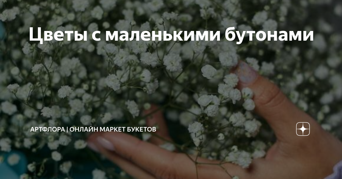 Цветы с маленькими бутонами АртФлора Онлайн маркет букетов Дзен