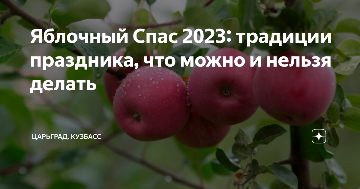 Яблочный Спас 2023 традиции праздника что можно и нельзя делать