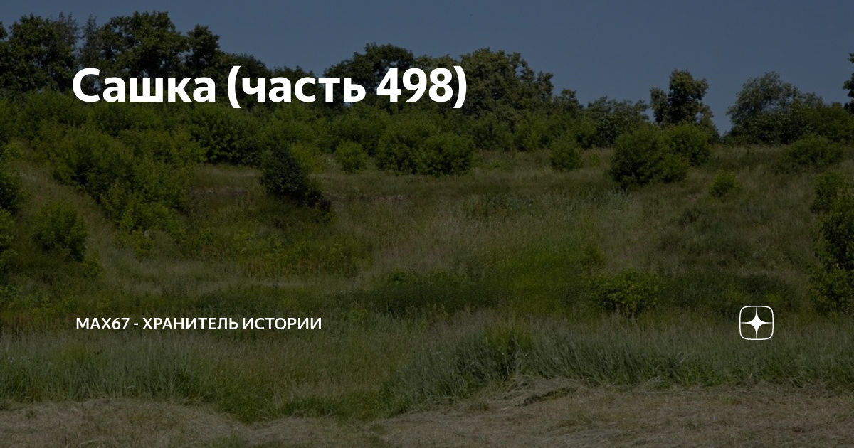 Сашка (часть 498) | MAX67 - Хранитель Истории | Дзен