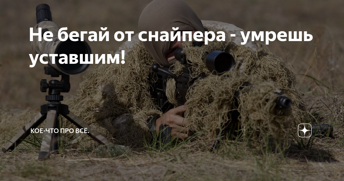 Не бегай от снайпера - умрешь уставшим! | Кое-что про всё. | Дзен